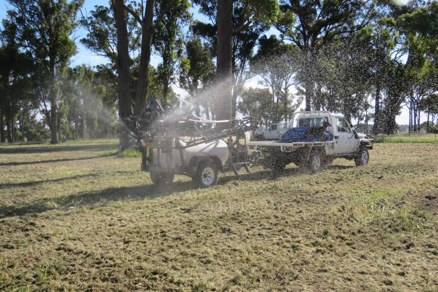 Green Manure Crop Update