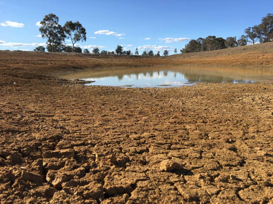 The Effects of Drought