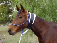 Livestock Accessories