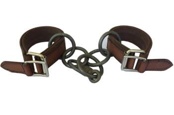 Livestock Accessories